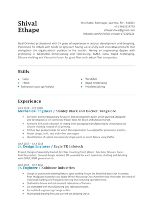 CV Shival Ethape | PDF | Business | Business and Finance