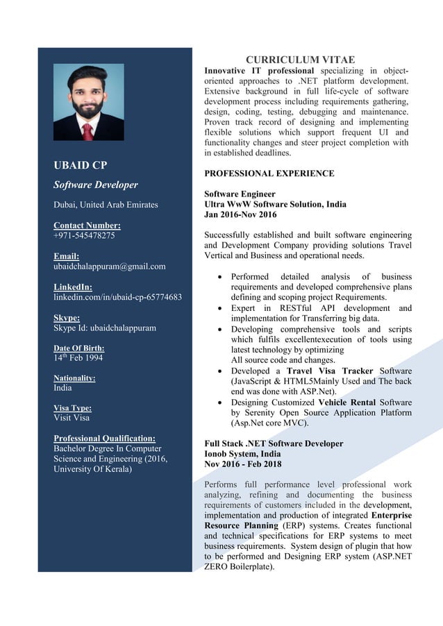 UBAID_CV | PDF | Web Development | Internet