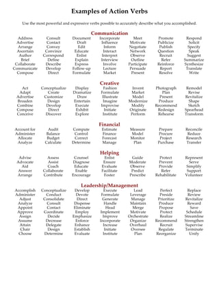 Davidson College CV Writing Guide | PDF