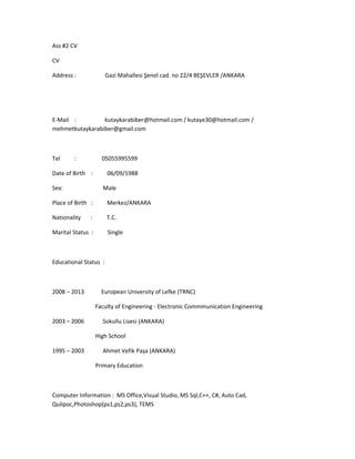 Cv 1 | RTF | Email | Internet