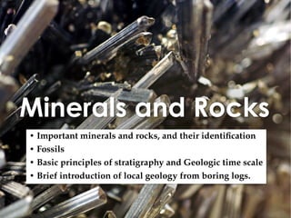 Comprehensive Guide to Minerals, Rocks, Fossils, and Stratigraphy ...