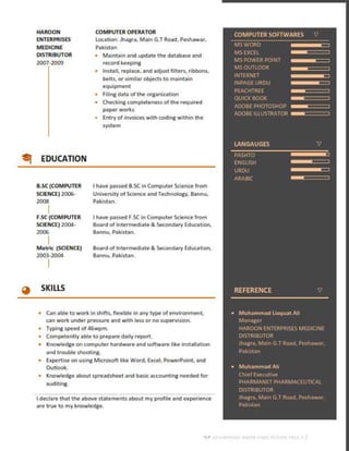 Advance Resume format 2 | PDF