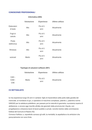 Cv 2013 aggiornato | PDF
