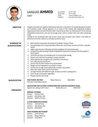 Advance Resume format 8 | PDF