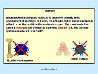 Immunology: Antigens immunogens & tolerogens | PPT