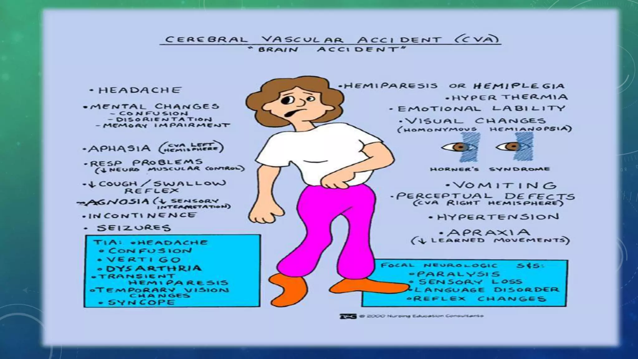 Cerebro-Vascular Accidents | PPTX | Brain and Nervous System Disorders | Diseases and Conditions