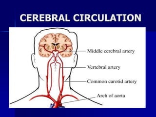 cerebrovascular Accident cva cva cva.ppt