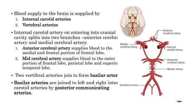 cerebrovascular accidents - types, causes and its management | PPT