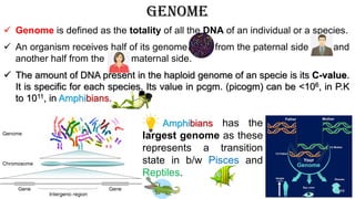 C value, Cot Curve & Rot Curve L1-3.pdf