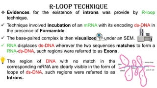 C value, Cot Curve & Rot Curve L1-3.pdf