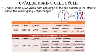 C value, Cot Curve & Rot Curve L1-3.pdf