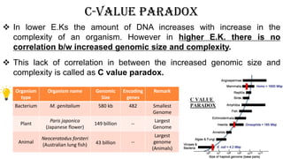 C value, Cot Curve & Rot Curve L1-3.pdf