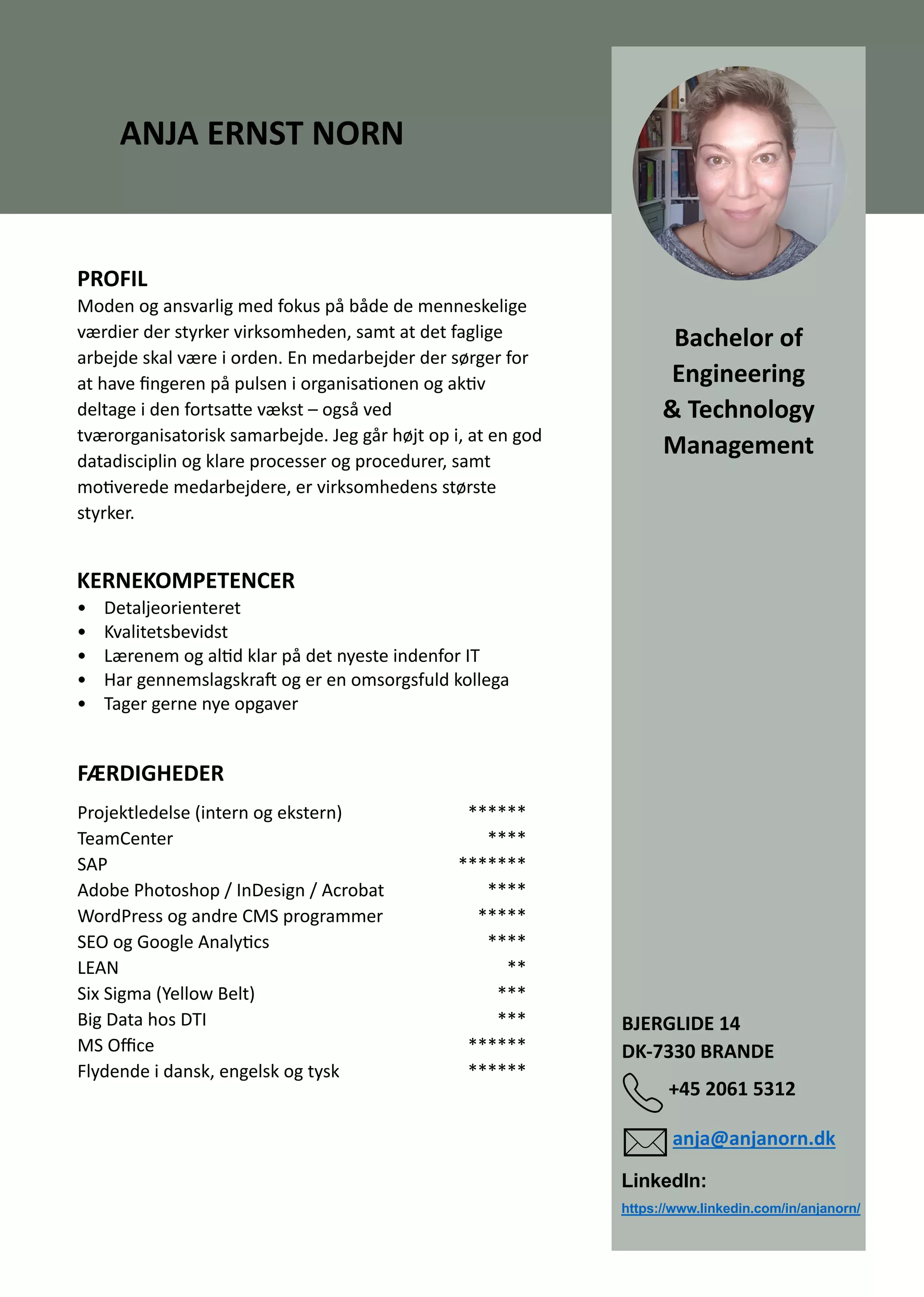 Cv anja norn_2019_dk | PDF