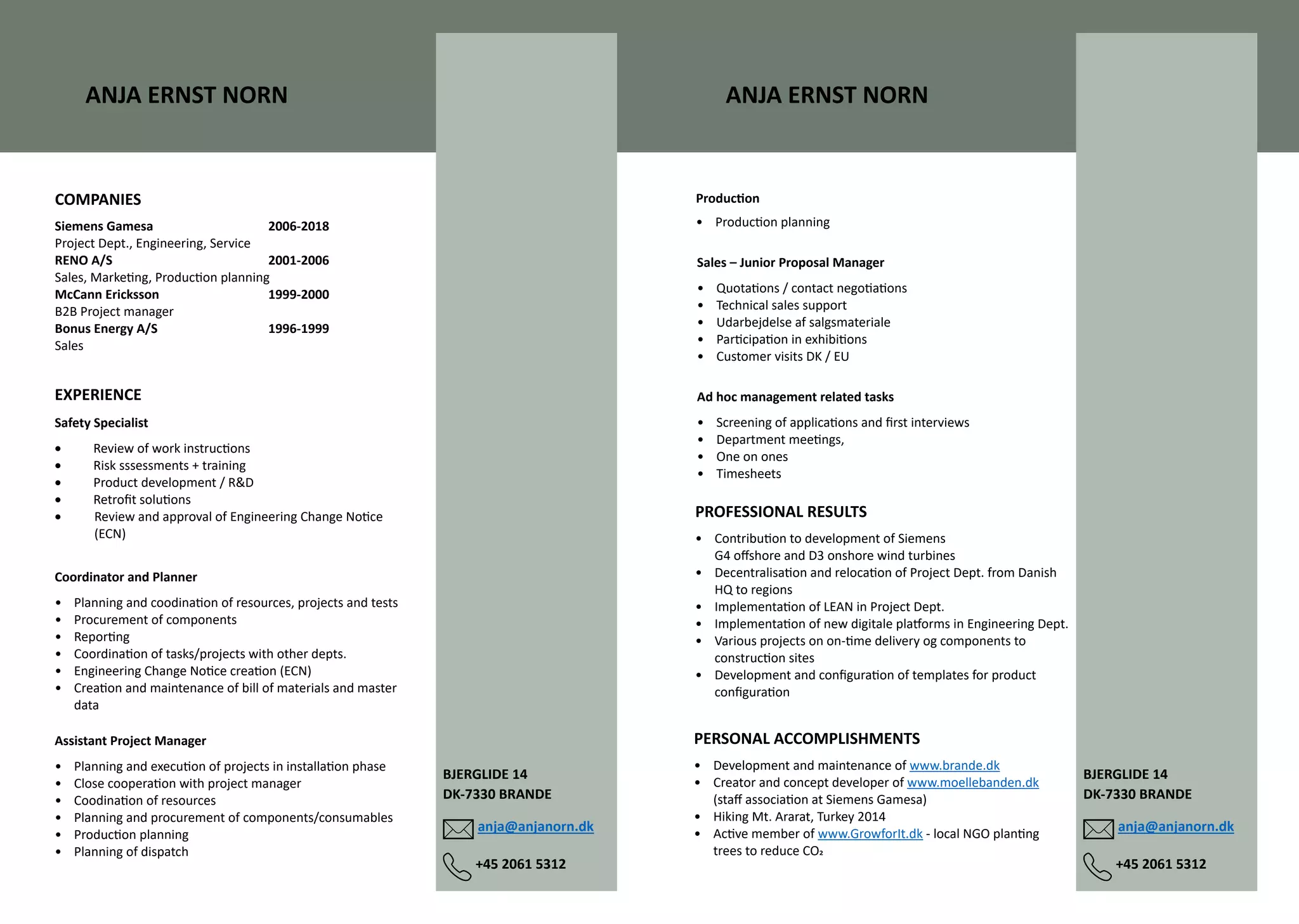 Cv anja norn_2019_uk | PDF