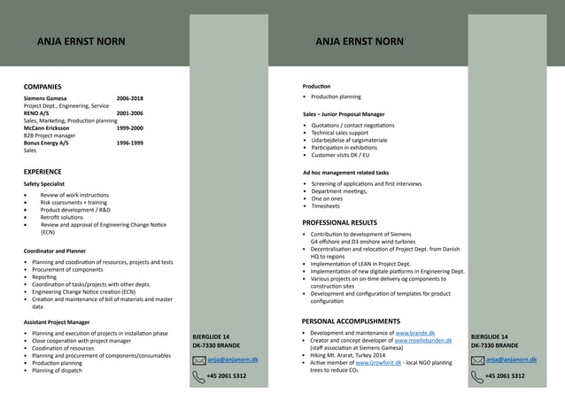 Cv anja norn_2019_uk | PDF