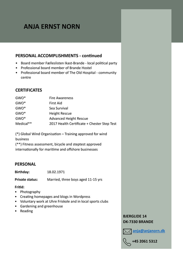 Cv anja norn_2019_uk | PDF