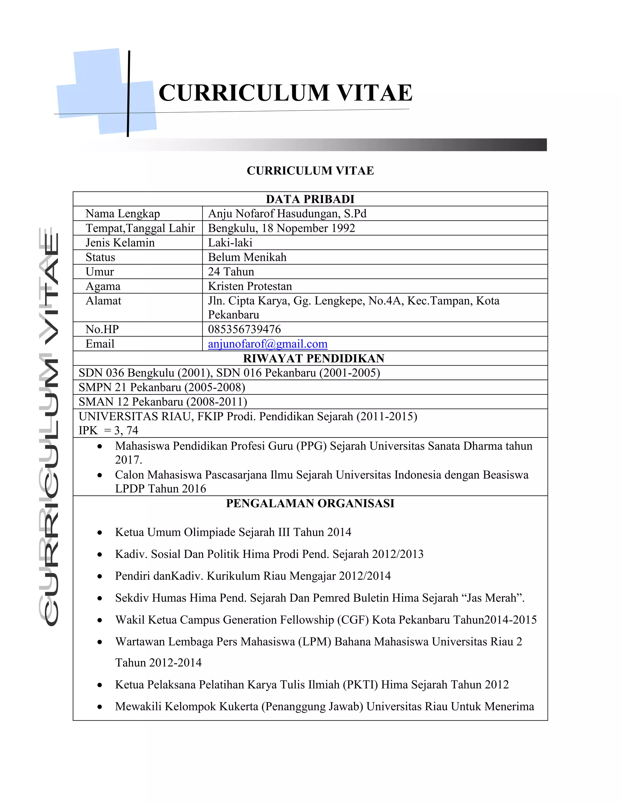 Cv anju nofarof hasudungan | PDF