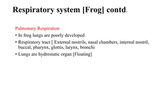 Respiratory system; birds, frog and lizard | PPTX