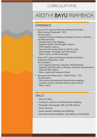 Cv arditya bayu priambada | PDF