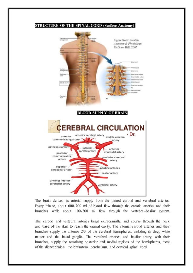 Case Study on Cerebro Vascular Accident (CVA) | DOCX | Brain and Nervous System Disorders ...
