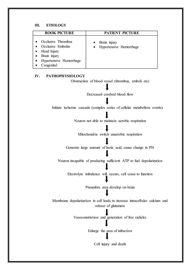 Case Study on Cerebro Vascular Accident (CVA) | DOCX | Brain and ...