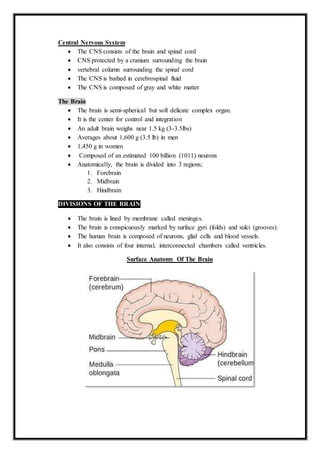 Case Study on Cerebro Vascular Accident (CVA) | DOCX