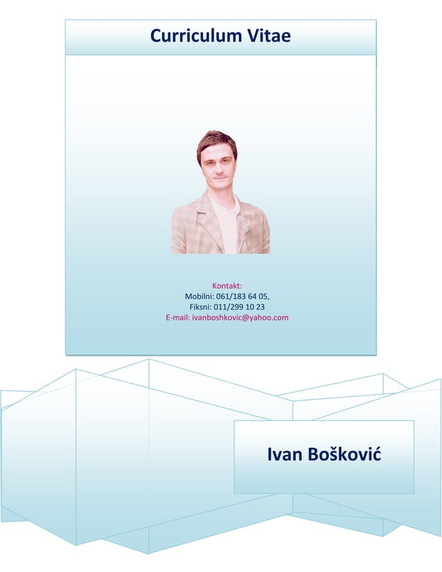 CV Ivan Boskovic | PDF