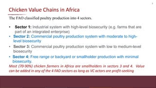 Chicken Value Chains in Africa: Some lessons | PPT