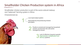 Chicken Value Chains in Africa: Some lessons | PPT