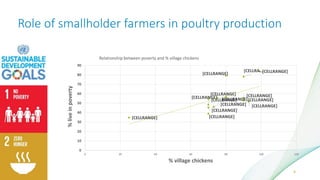 Chicken Value Chains in Africa: Some lessons | PPT