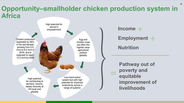 Chicken Value Chains in Africa: Some lessons | PPT