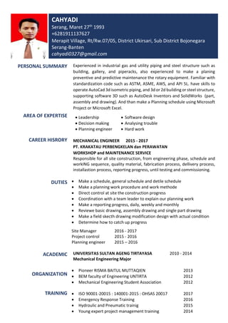 Cv cahyadi1 | PDF | Civil Engineering Industry | Industries