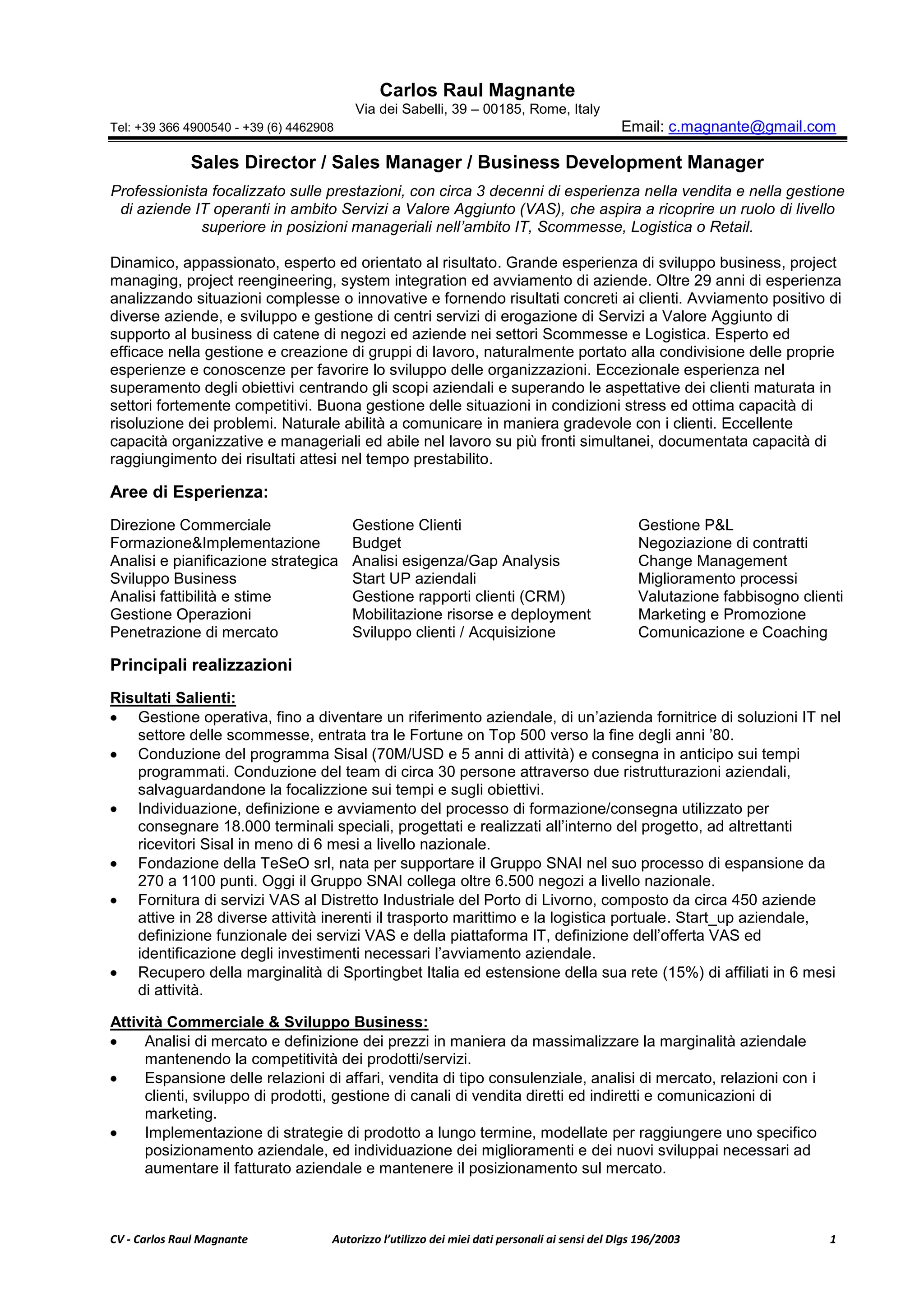 Cv carlos raul magnante ita_v3.0 | PDF