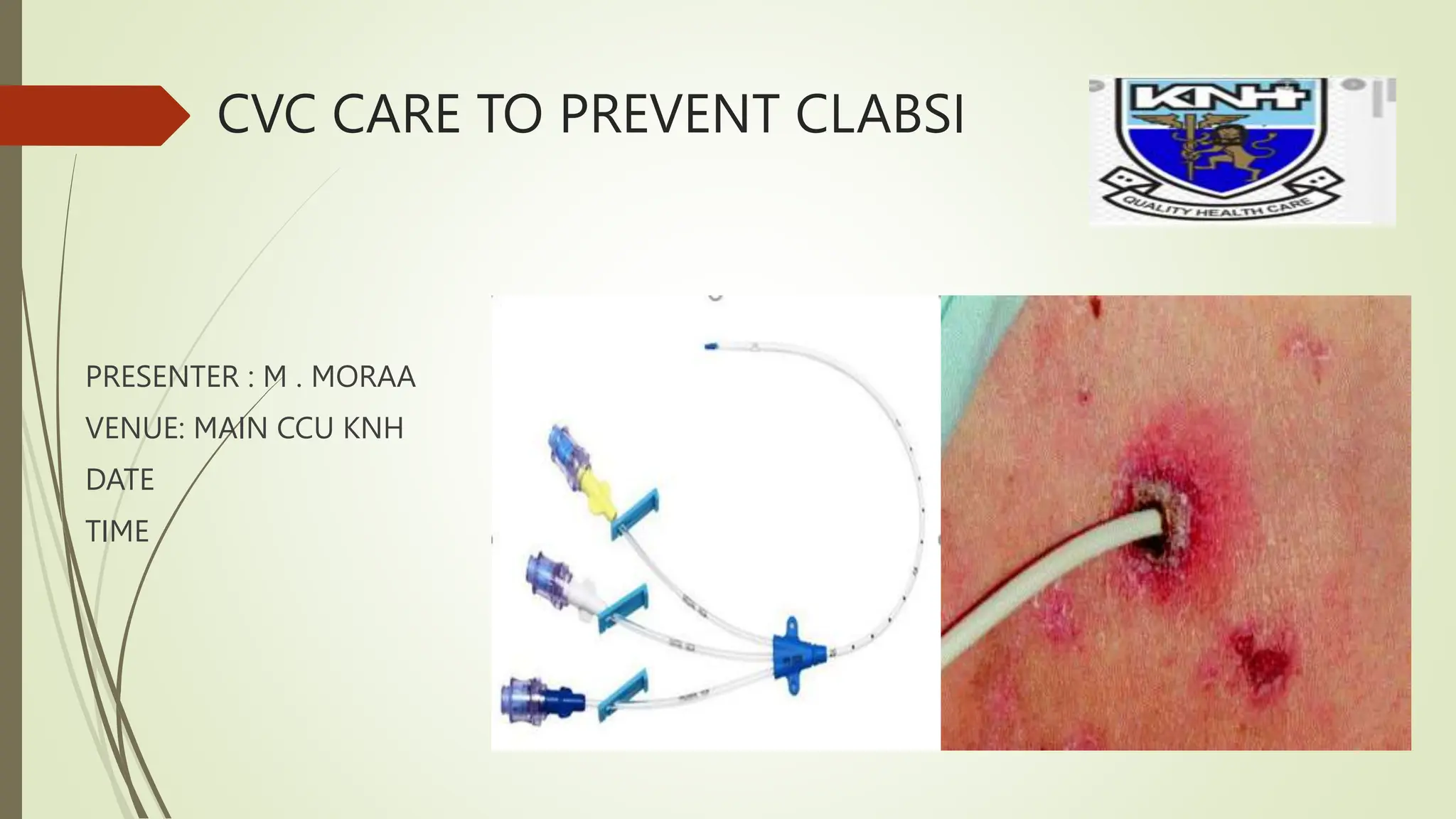 Central Venous Catheter Care - Central Line Associated Blood Stream Infection Prevention | PPT