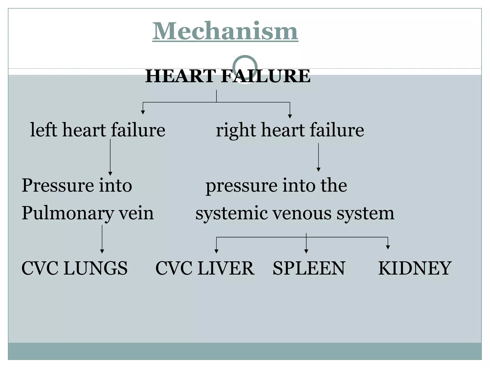 Cvc lung, liver and spleen | PPT
