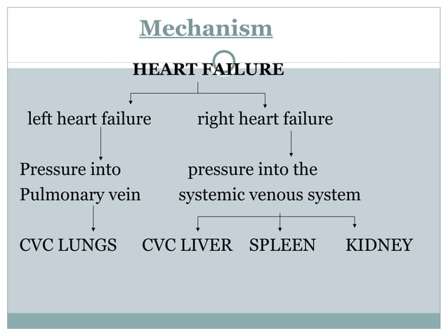 Cvc lung, liver and spleen | PPT | Heart and Cardiovascular Diseases ...