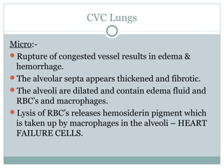 Cvc lung, liver and spleen | PPT