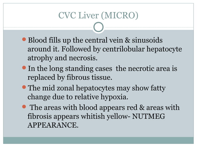 Cvc lung, liver and spleen | PPT | Heart and Cardiovascular Diseases ...