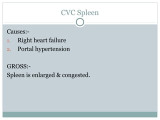 Cvc lung, liver and spleen | PPT