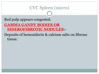 Cvc lung, liver and spleen | PPT