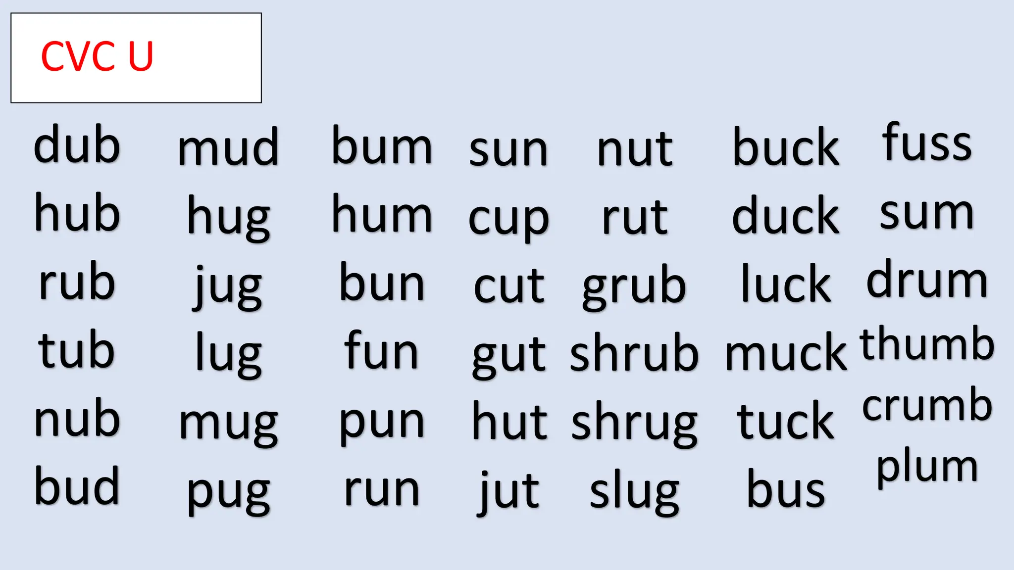 CVC,WORD FAMILIES.pptx