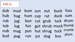 CVC,WORD FAMILIES.pptx | Pets