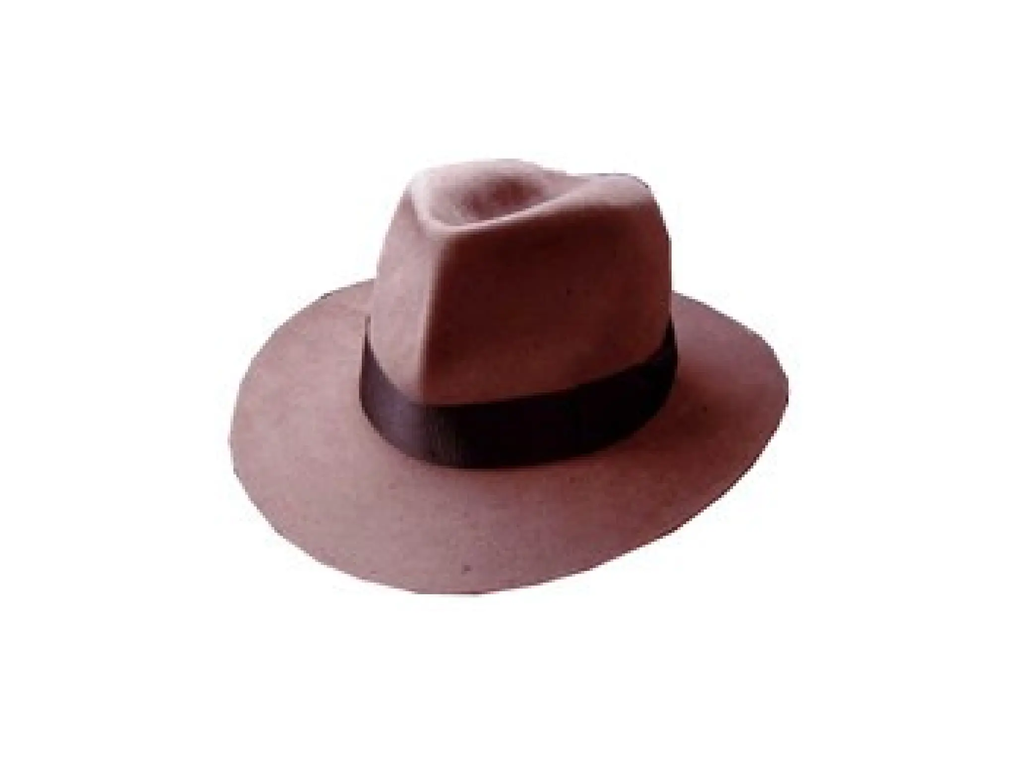 CVC words. Grade 1- Reading and Literacy | PPT