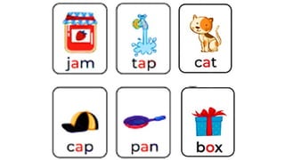 Consonant-Vowel-Consonant pattern (CVC) Words.pptx