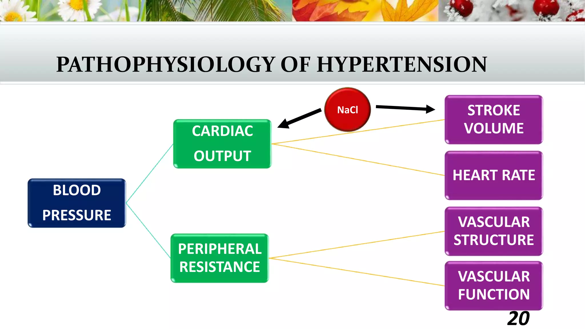 hypertension and cardiovascular disease | PPTX