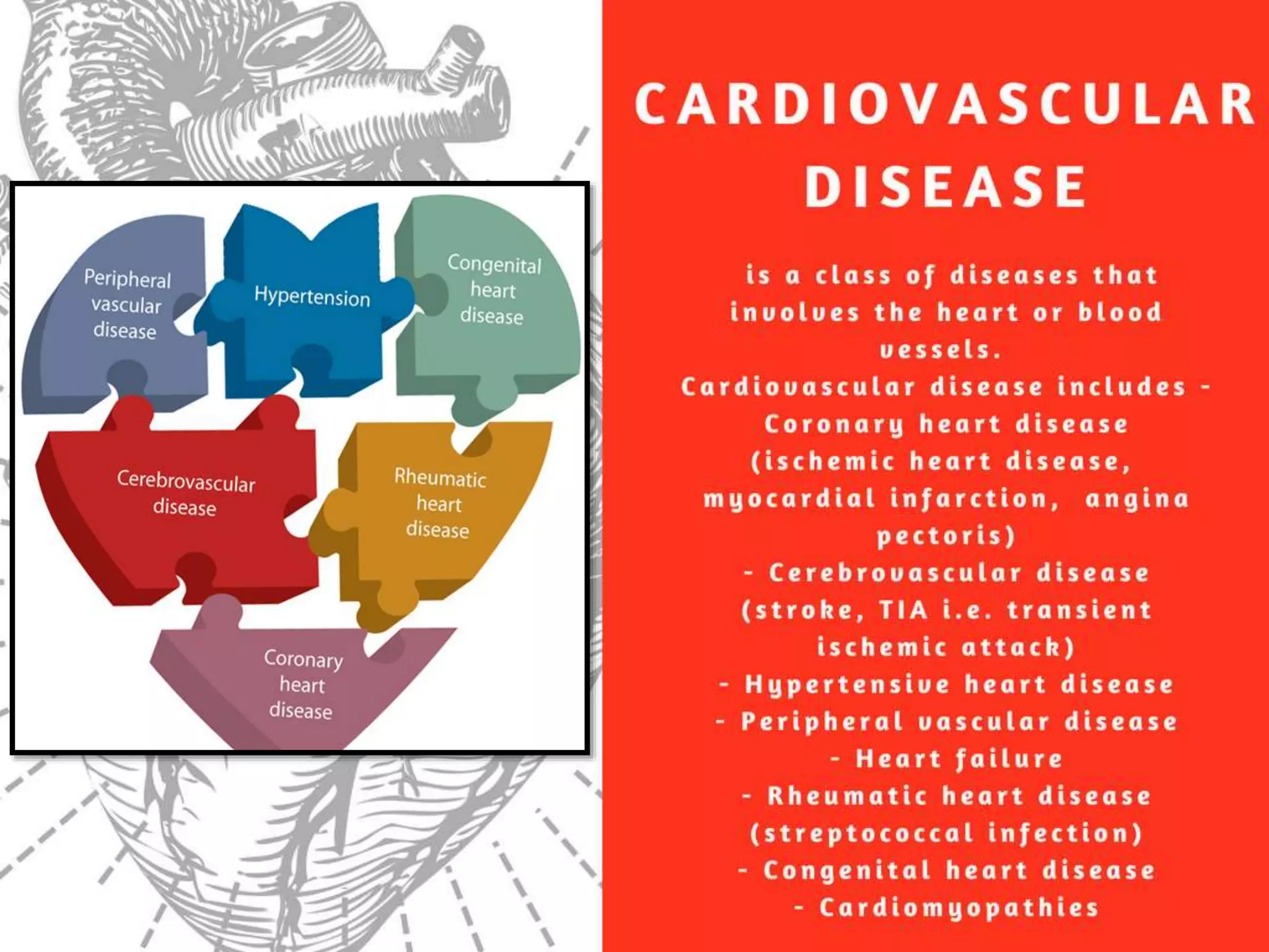 Cardiovascular disease | PPTX