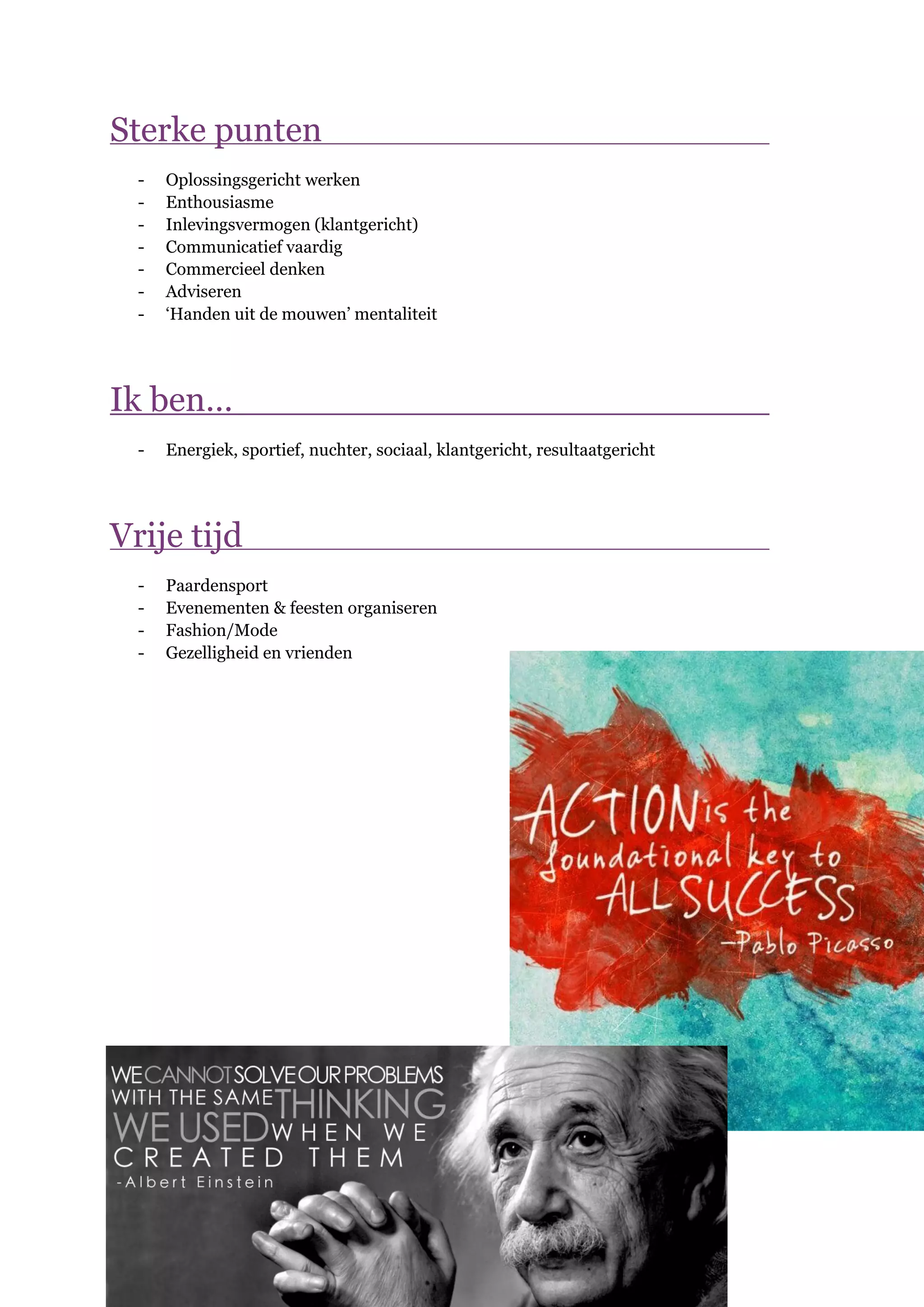 Cv denise van den berg 2014 | PDF