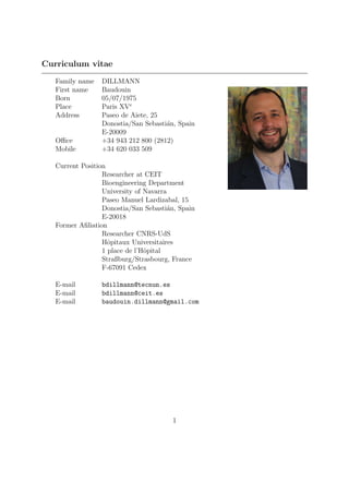 Cv Dillmann | PDF
