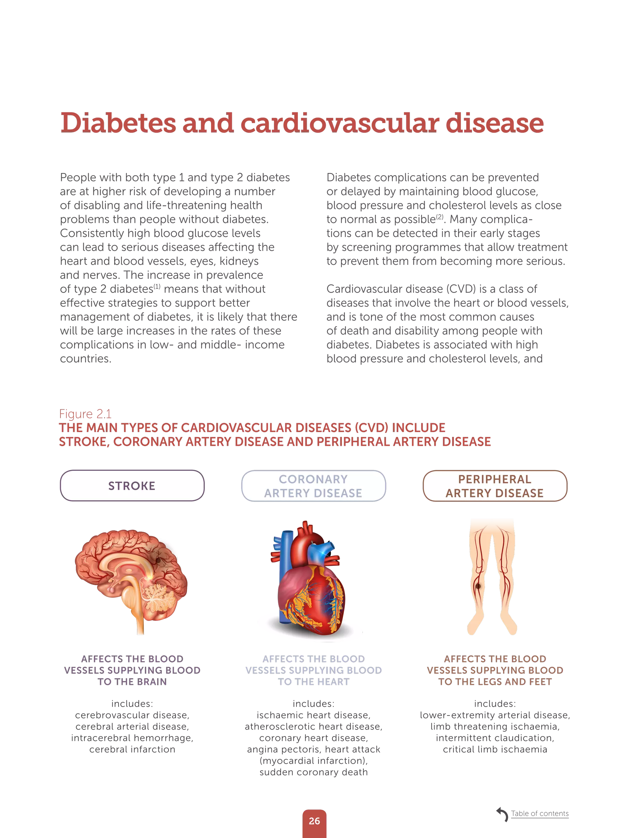 Diabetes and cardiovascular disease Case Study by diabetesasia.org