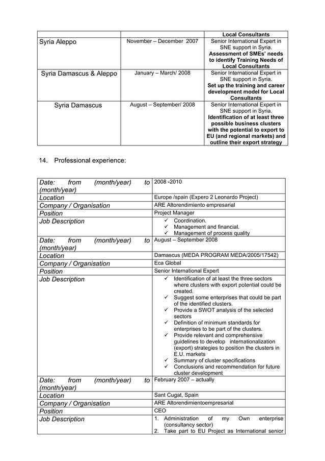 Cv Davide Menini English | PDF